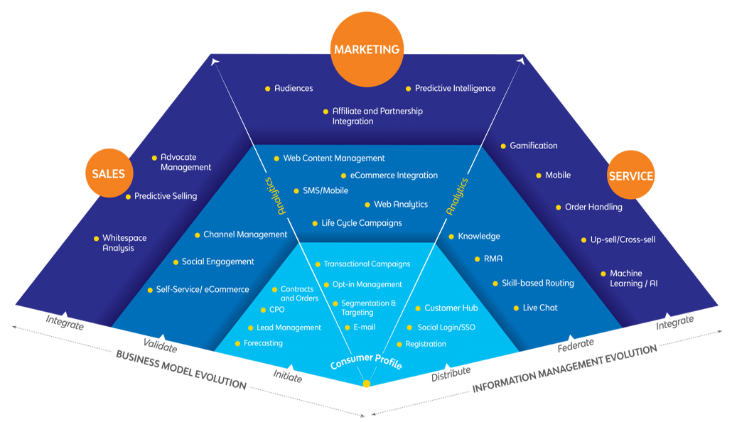 Guiding Principles for IT-Driven Digital Transformation | LTIMindtree