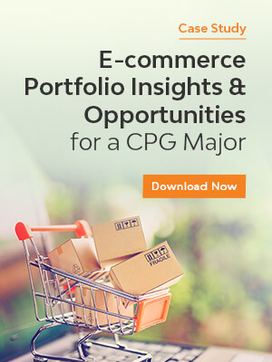 E-commerce Portfolio Insights Opportunities for a cpg major - LTI