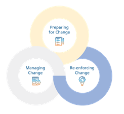 Navigating Organizational Change: Building Financial Resilience through ...