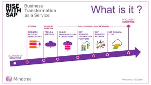 RISE With SAP: What Is It All About? | LTIMindtree Blog